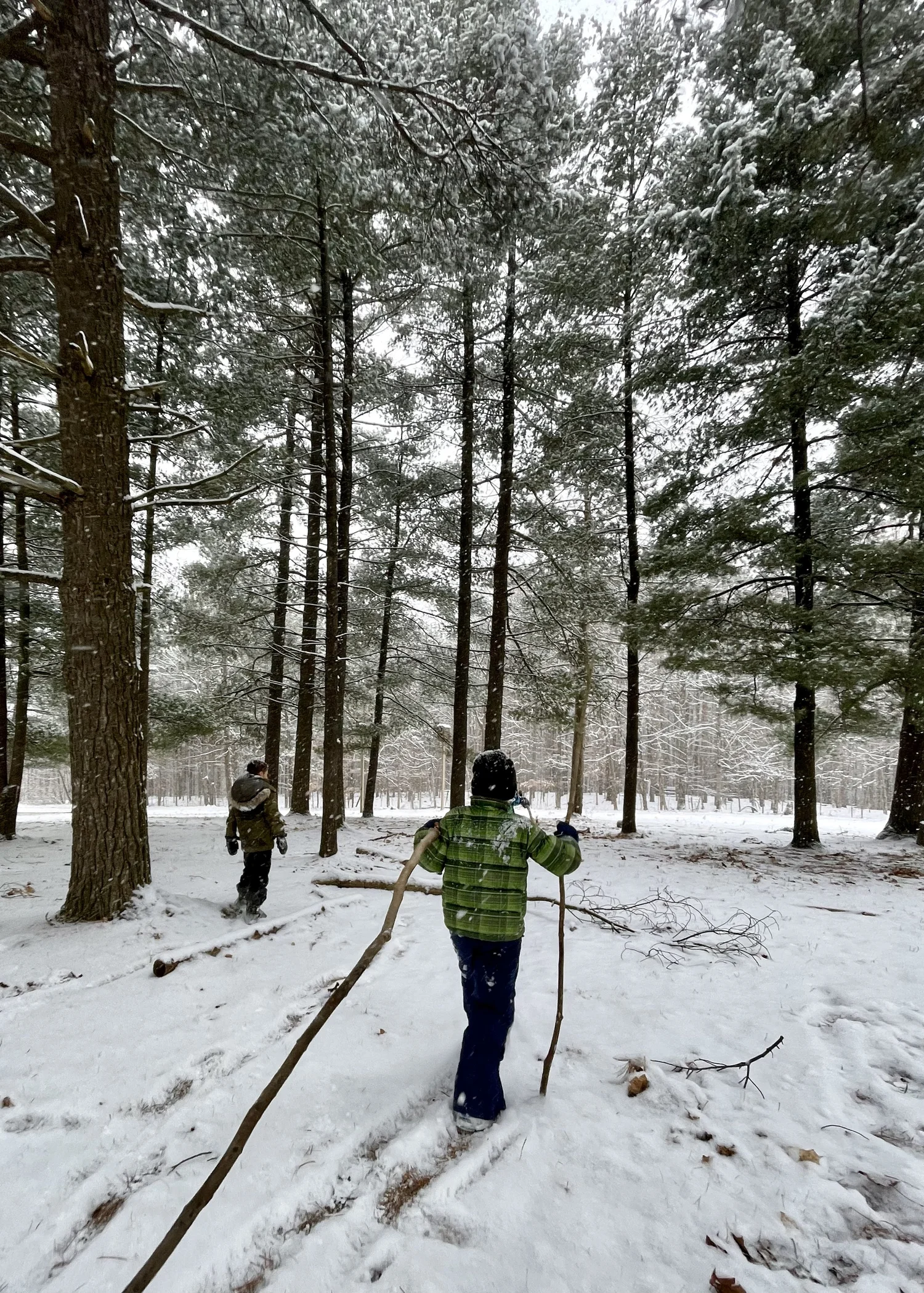About Us — Journey Nature School