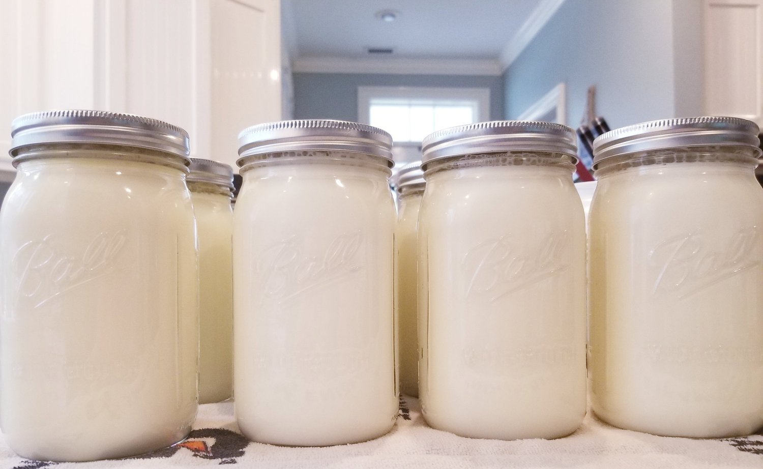 How To Handle Your Raw Milk — Twice Blessed Farm