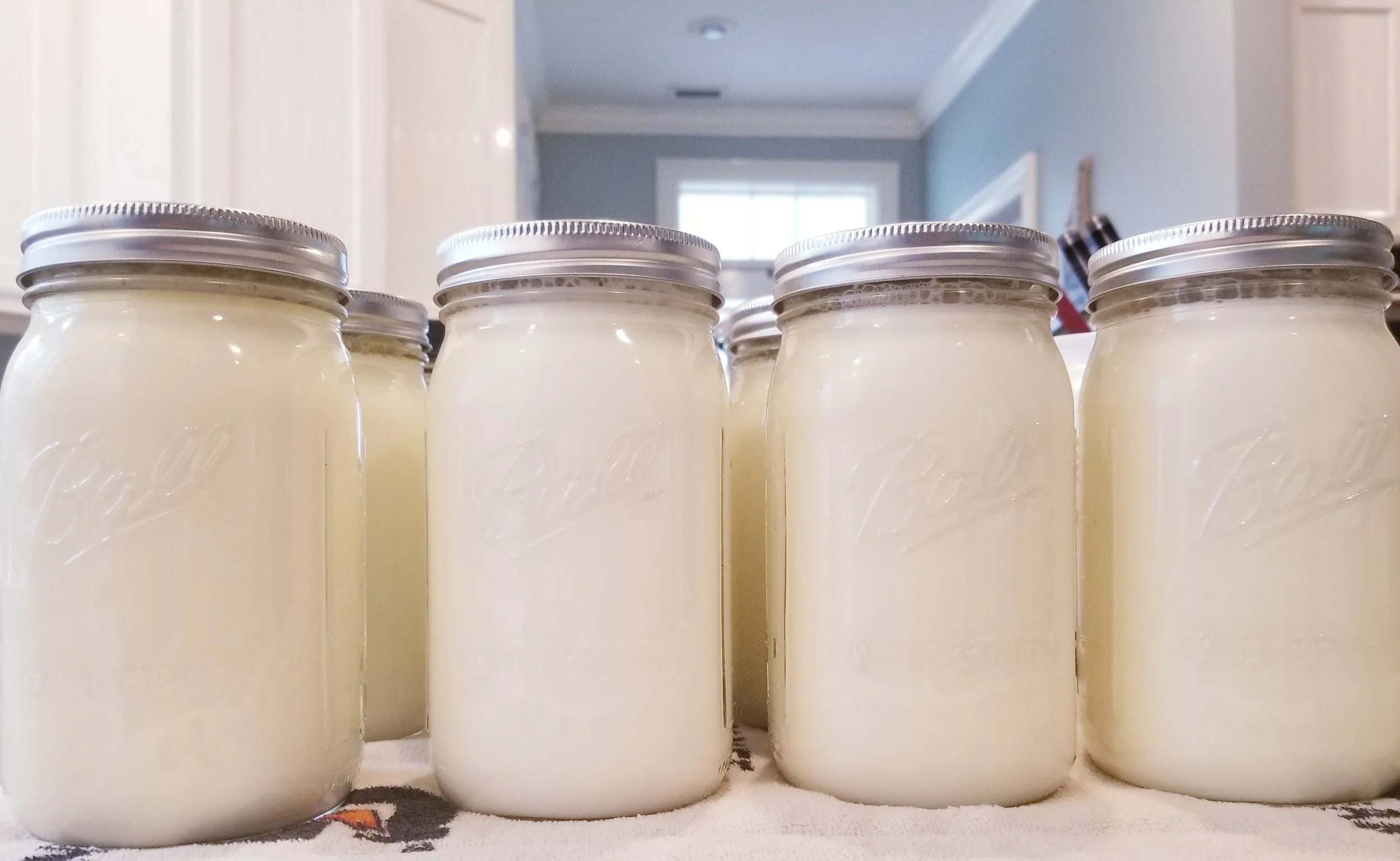 How To Handle Your Raw Milk — Twice Blessed Farm
