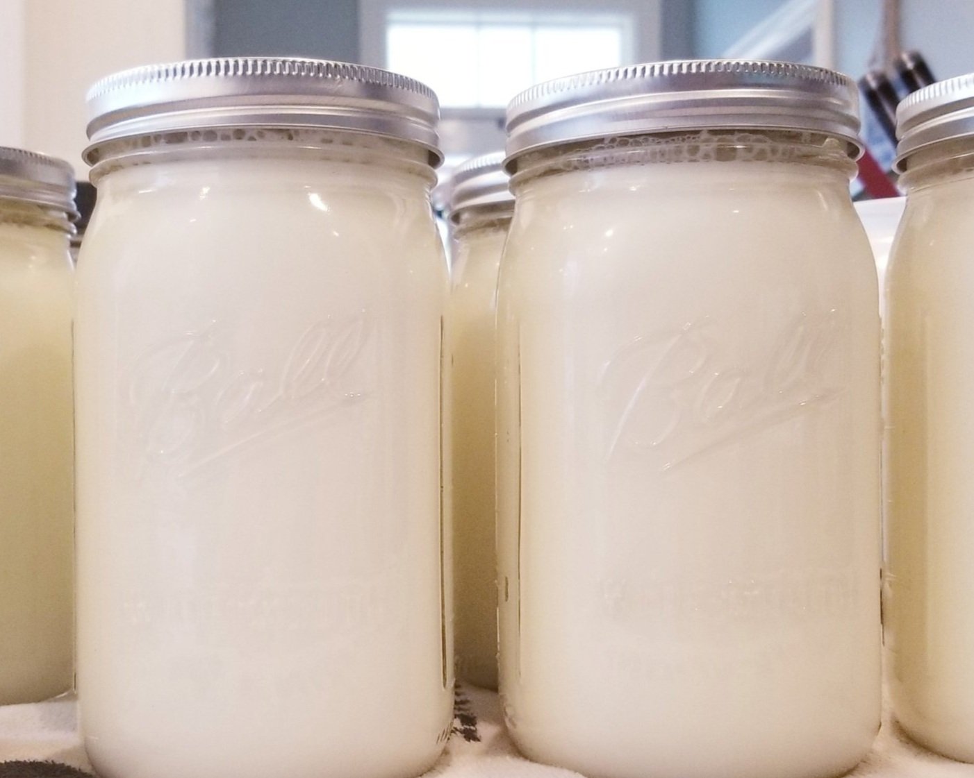 Twice Blessed Farm | Raw Milk | Organic Sourdough | Dairy & Eggs ...