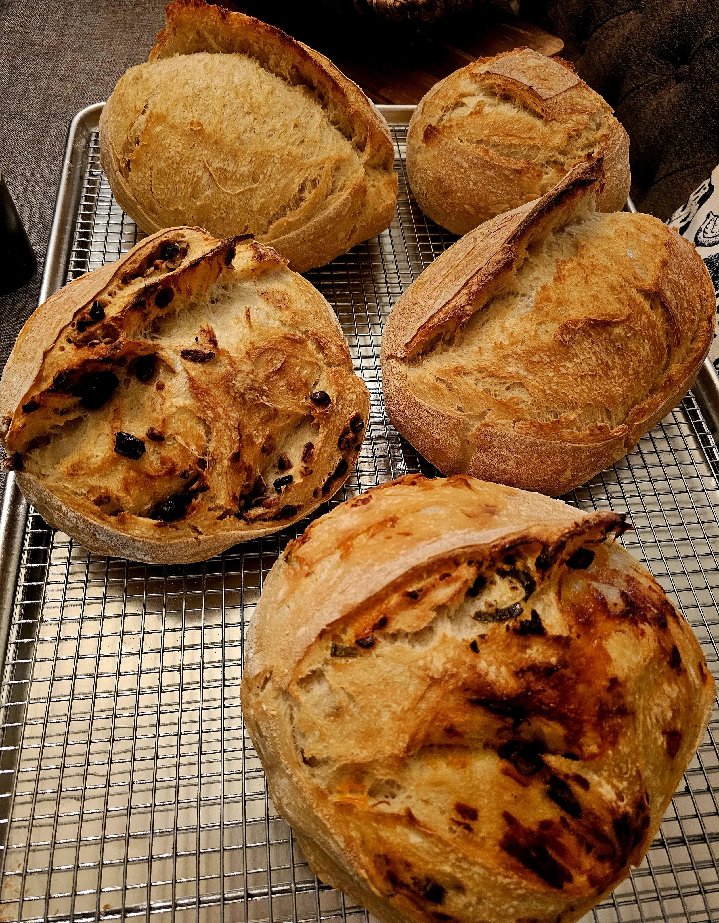How to Handle Your Sourdough Starter — Twice Blessed Farm