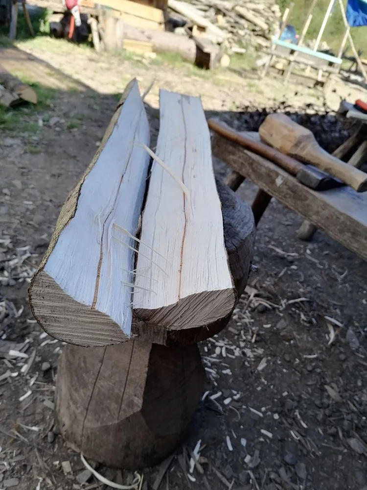 Coppice — Green Aspirations Scotland CIC