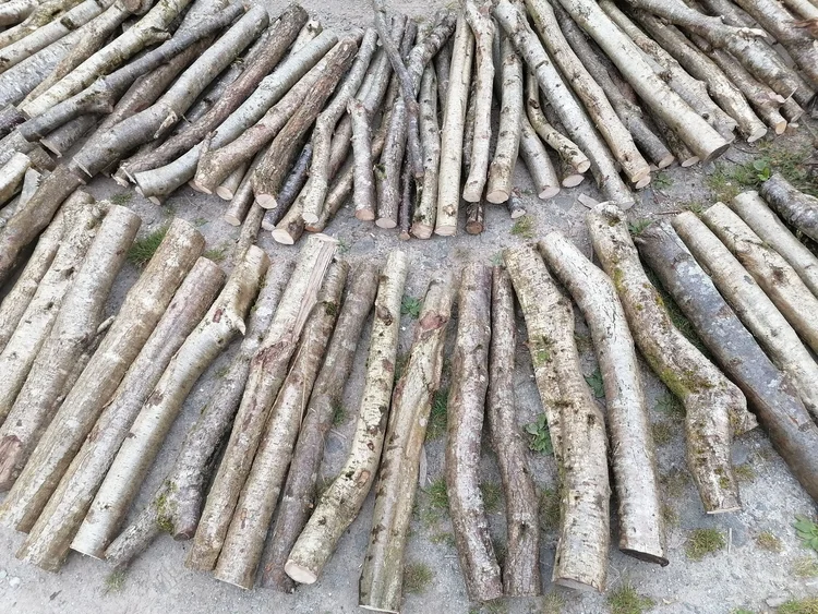 Coppice — Green Aspirations Scotland CIC