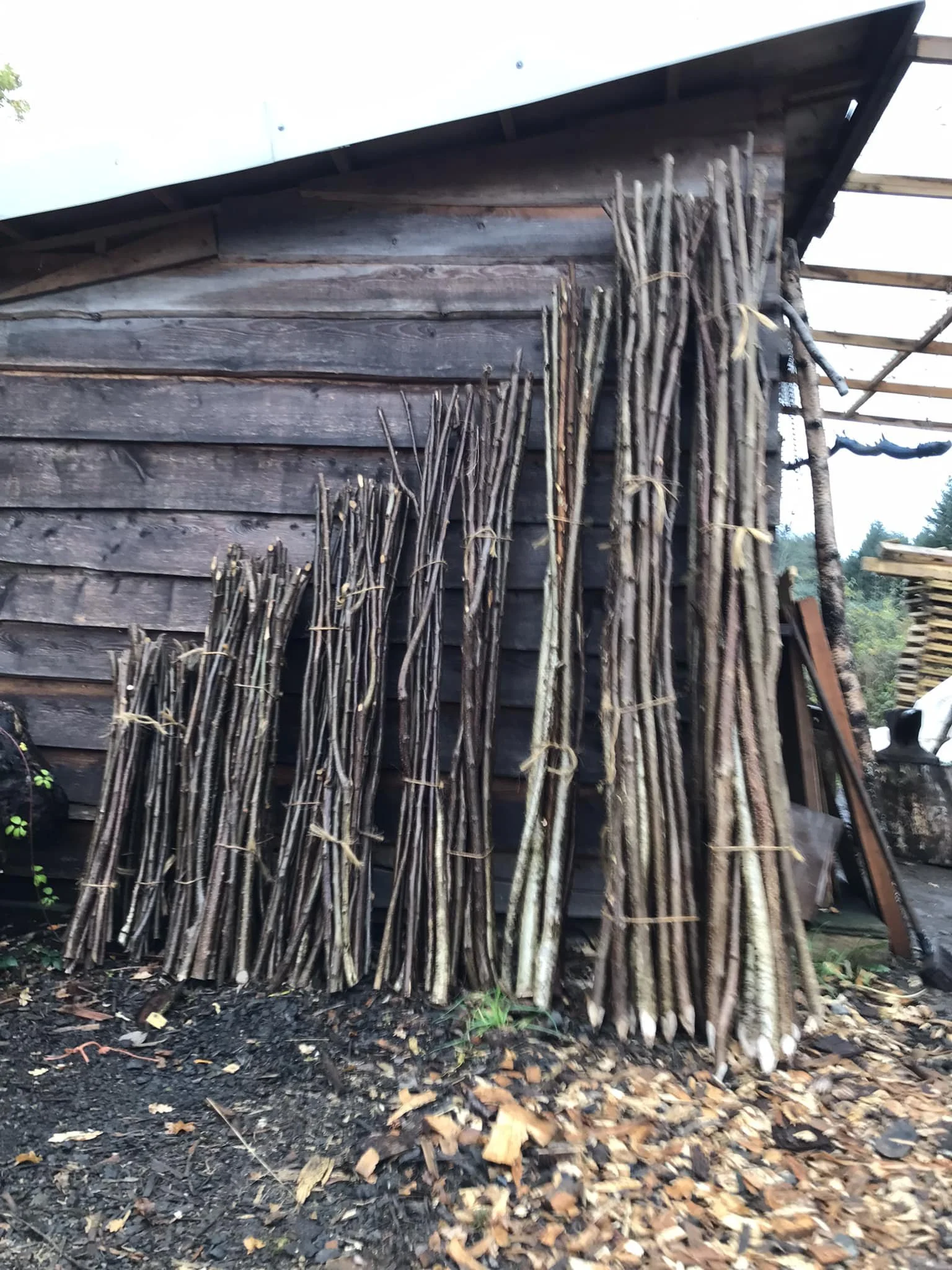 Coppice — Green Aspirations Scotland CIC