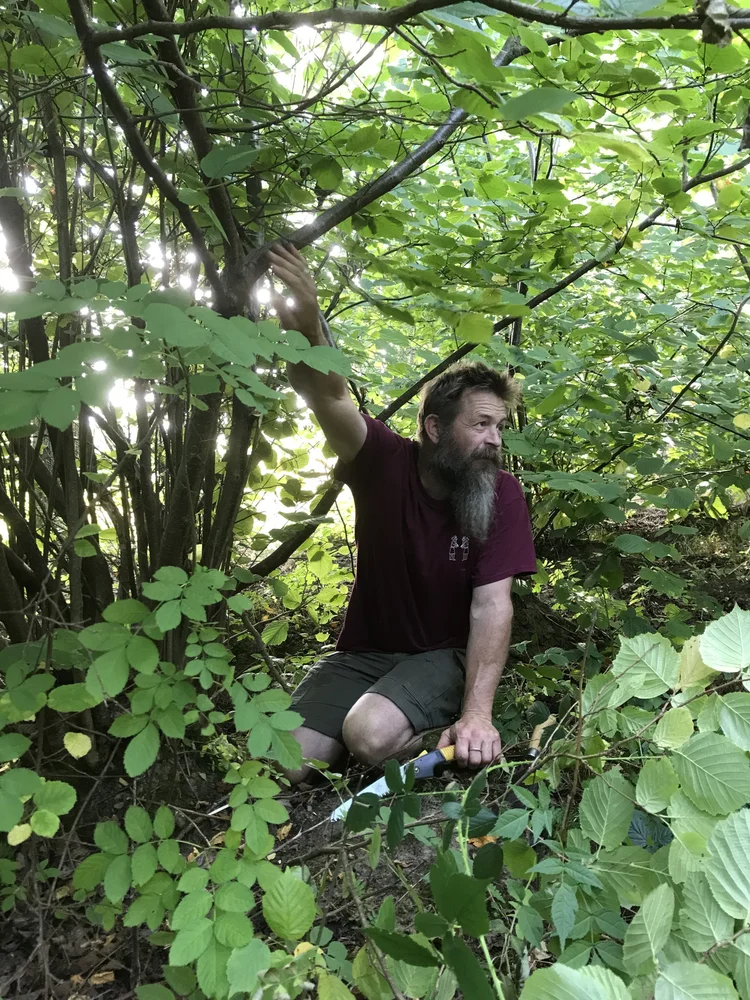 Coppice — Green Aspirations Scotland CIC