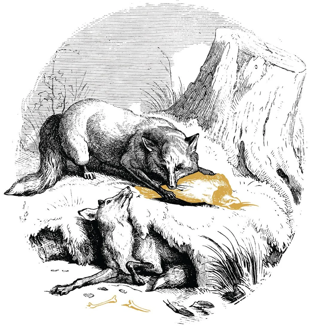 Expertly Curated Cocktails | Prophecy Bar — Prophecy