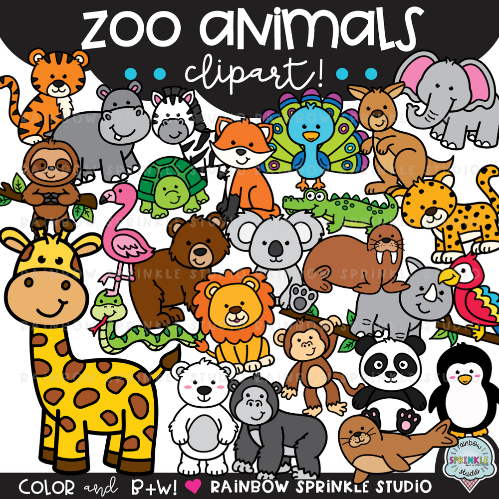 Rainbow Sprinkle Studio