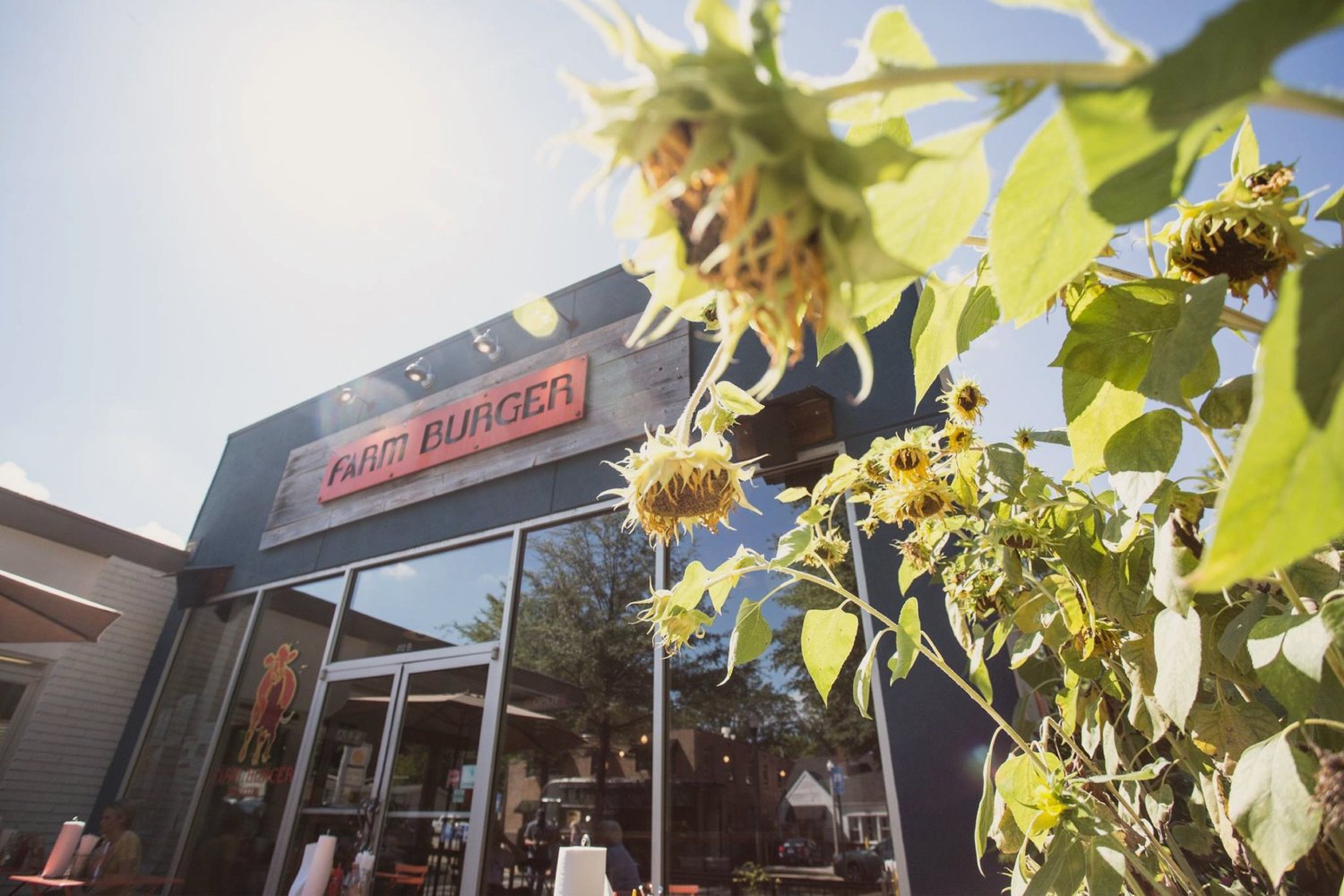 farm burger - GRASSFED BURGER RESTAURANT