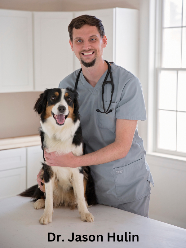 Hulin Veterinary Hospital - Dr. Jason Hulin