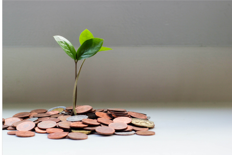 About Page — Green Light Financial