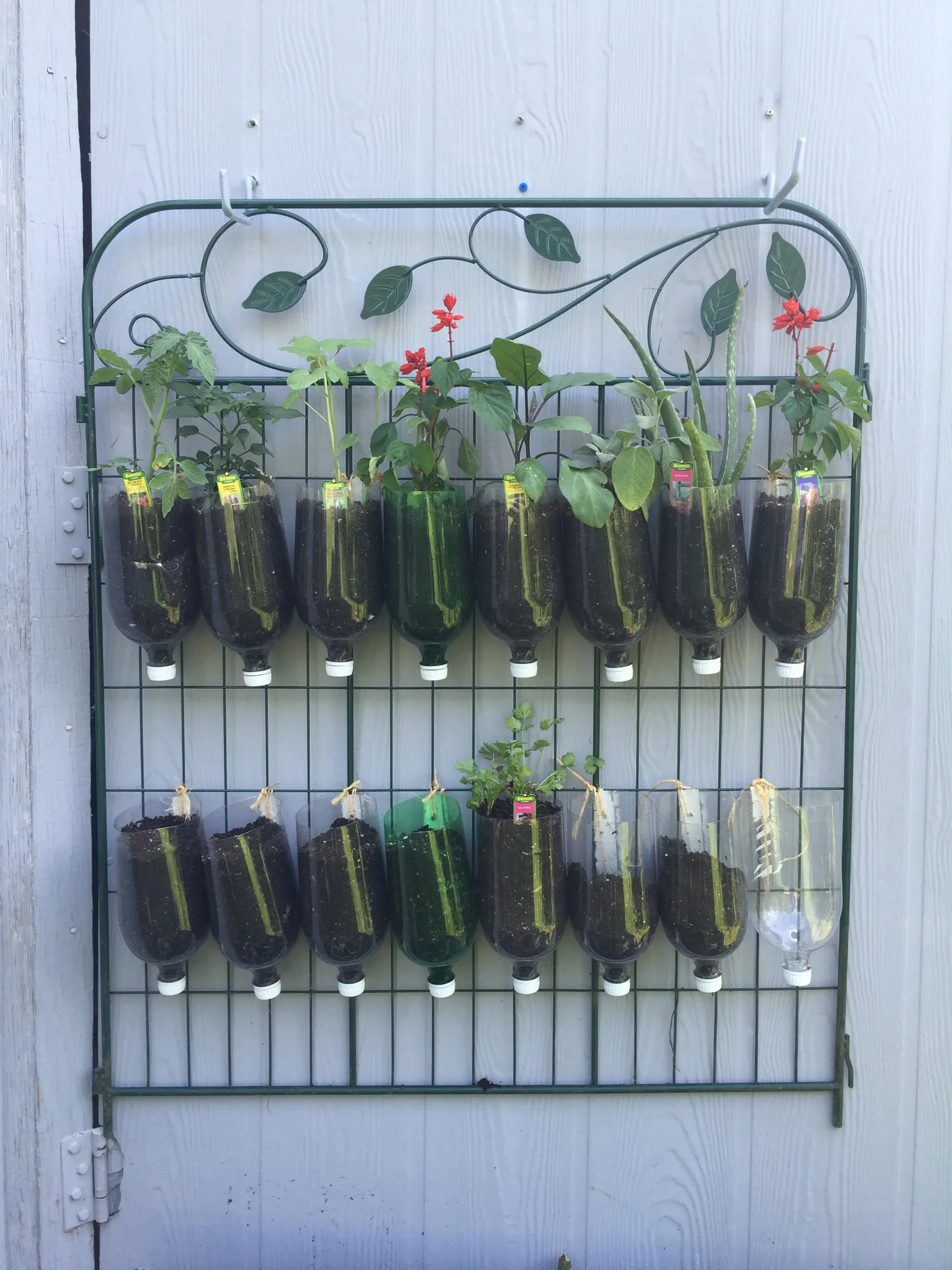 How to Build a DIY Vertical Garden — Sarah Lawrence