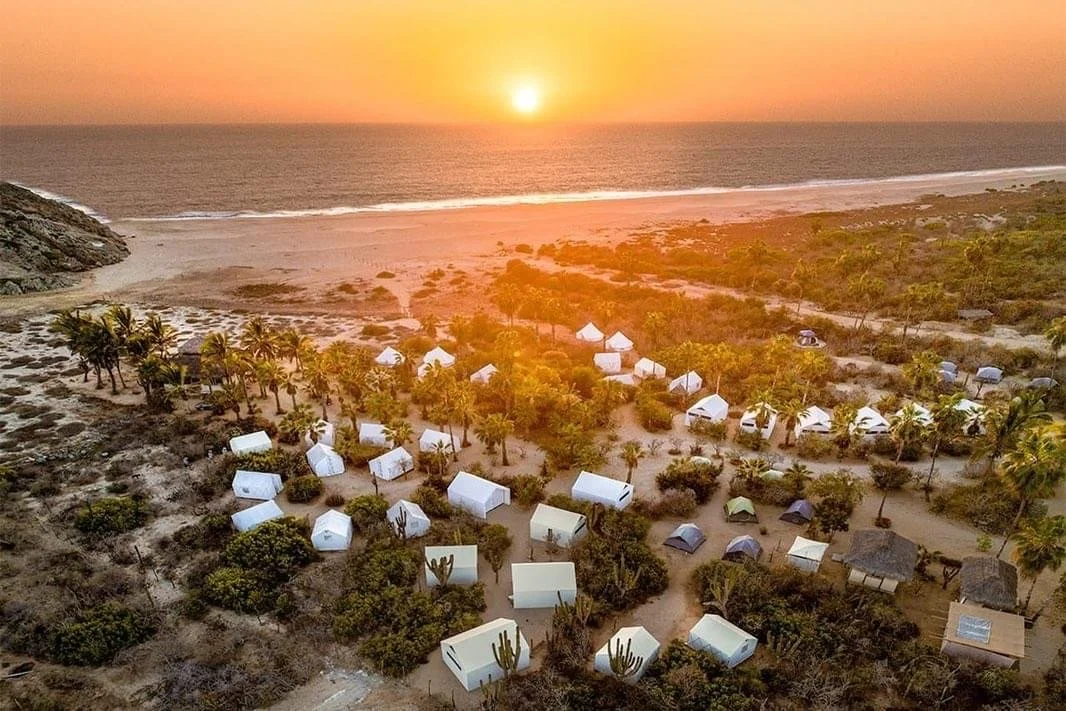 Tula Life Discoveries