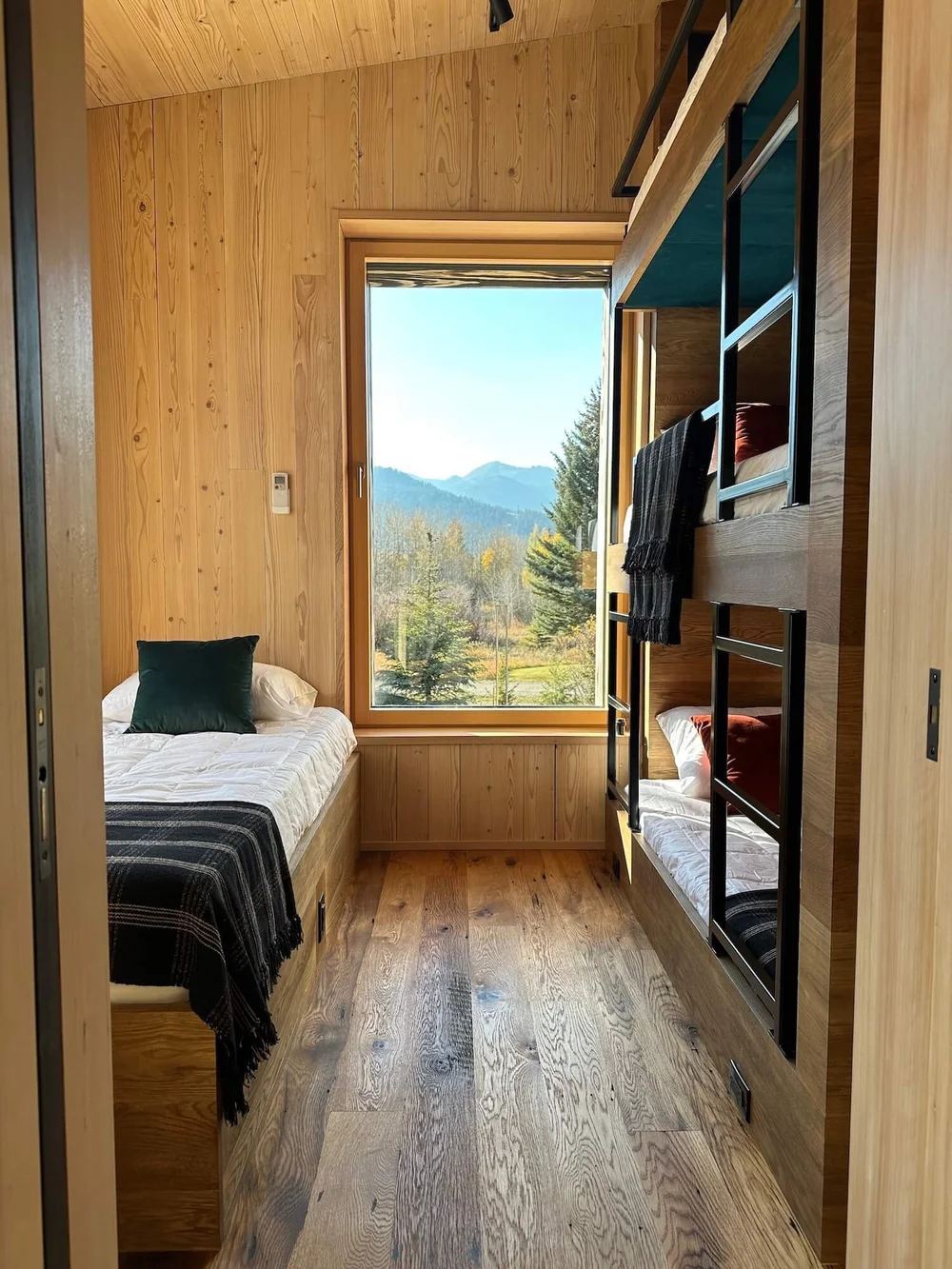 Tree Haus — Love | Schack Architecture