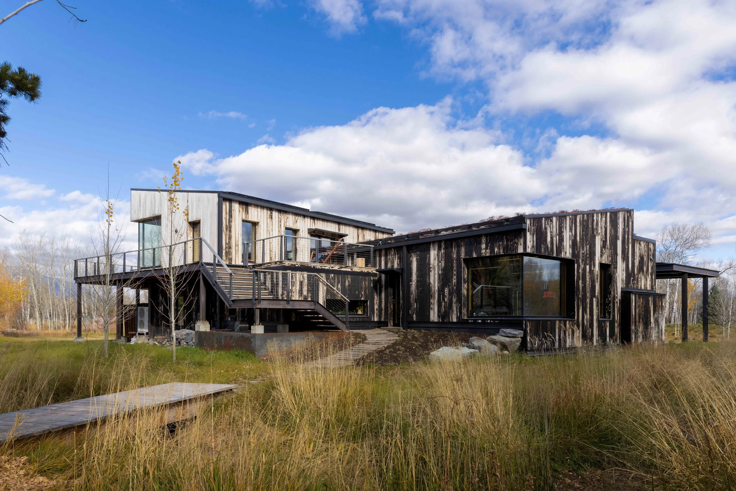 Tree Haus — Love | Schack Architecture
