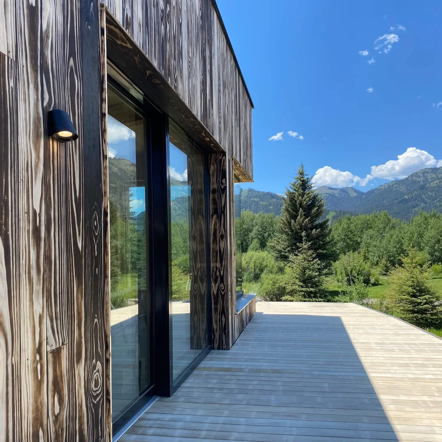 Tree Haus — Love | Schack Architecture