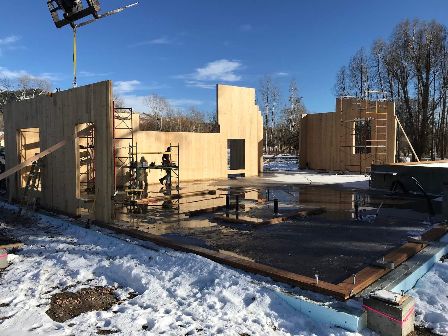 Tree Haus — Love | Schack Architecture