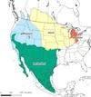 About Badgers — Prairie Badger