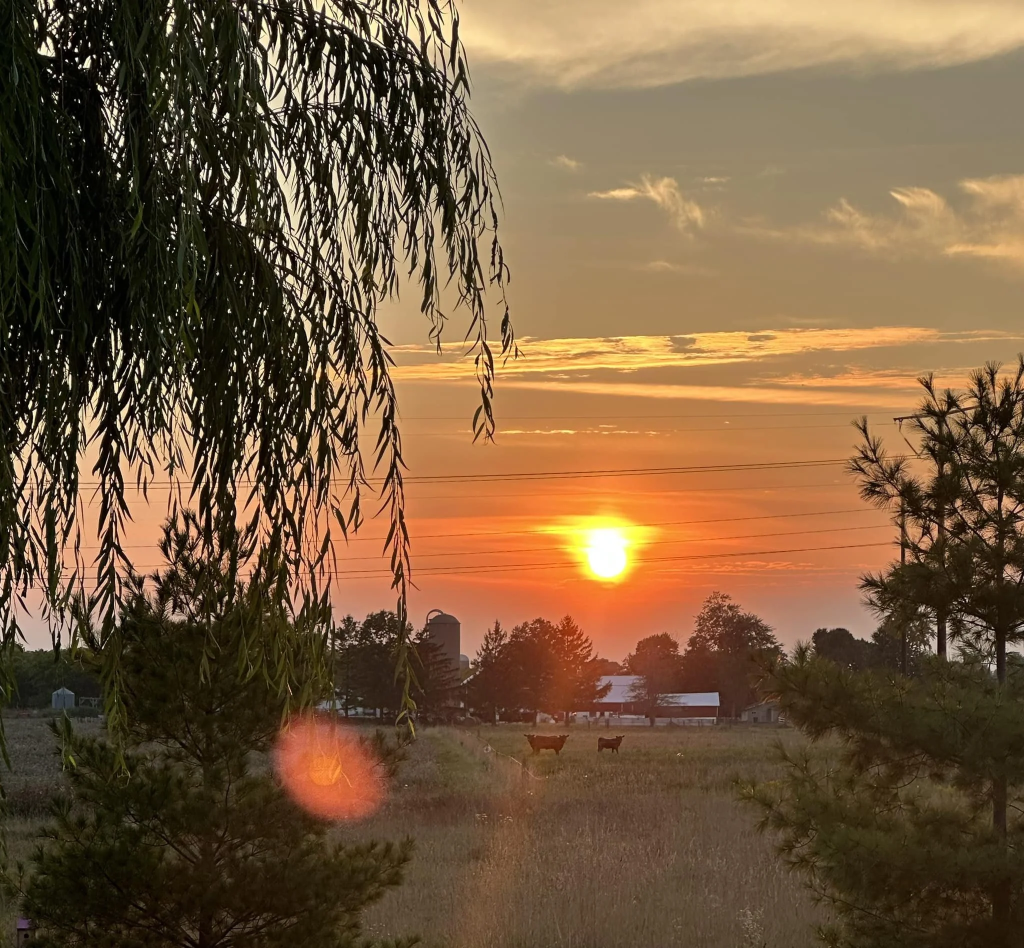 About | Family Owned & Operated — Steeple View Farm