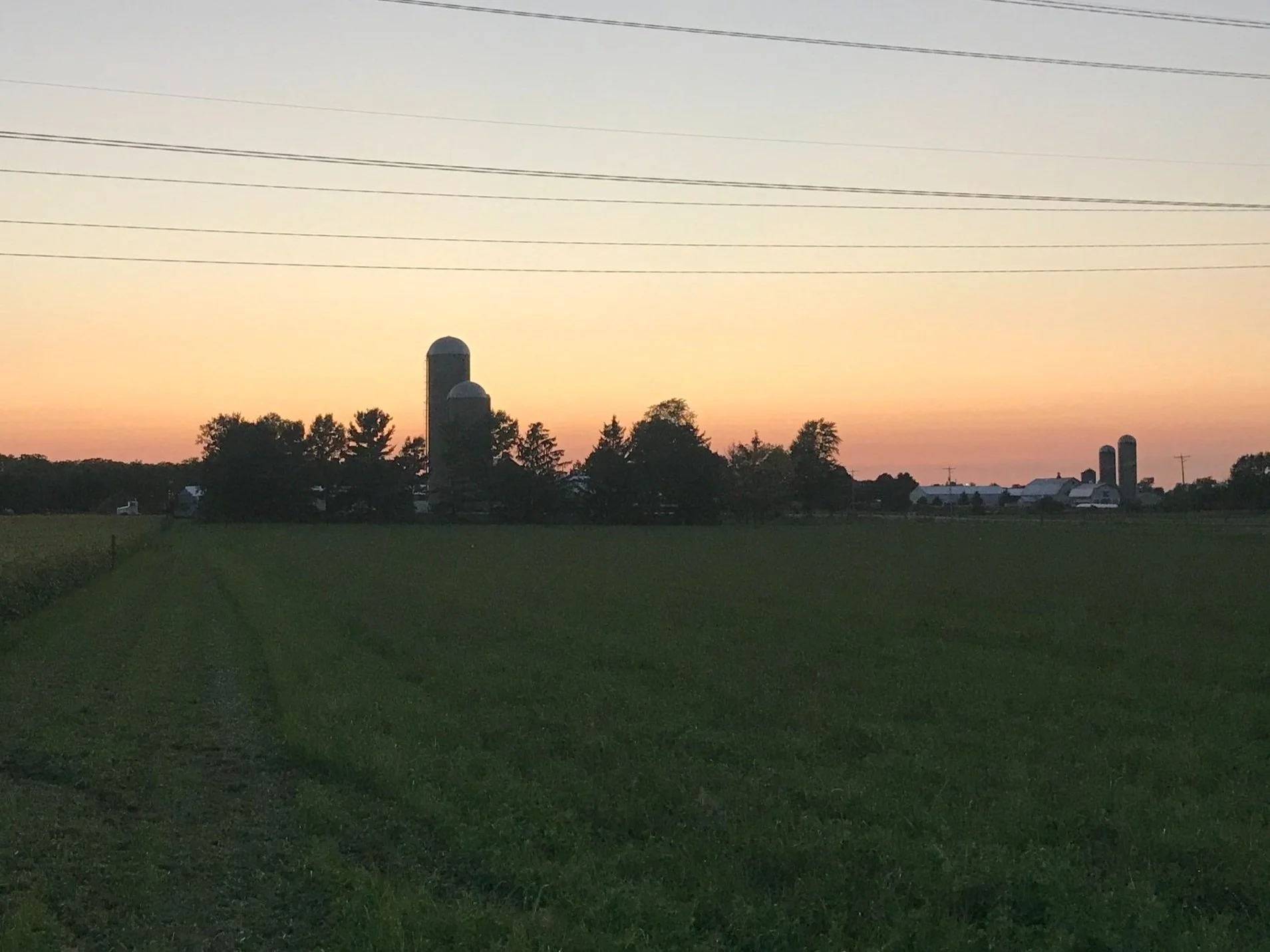 Steeple View Farm | Pastured Poultry | Grass-Fed Beef | Heritage Breed ...