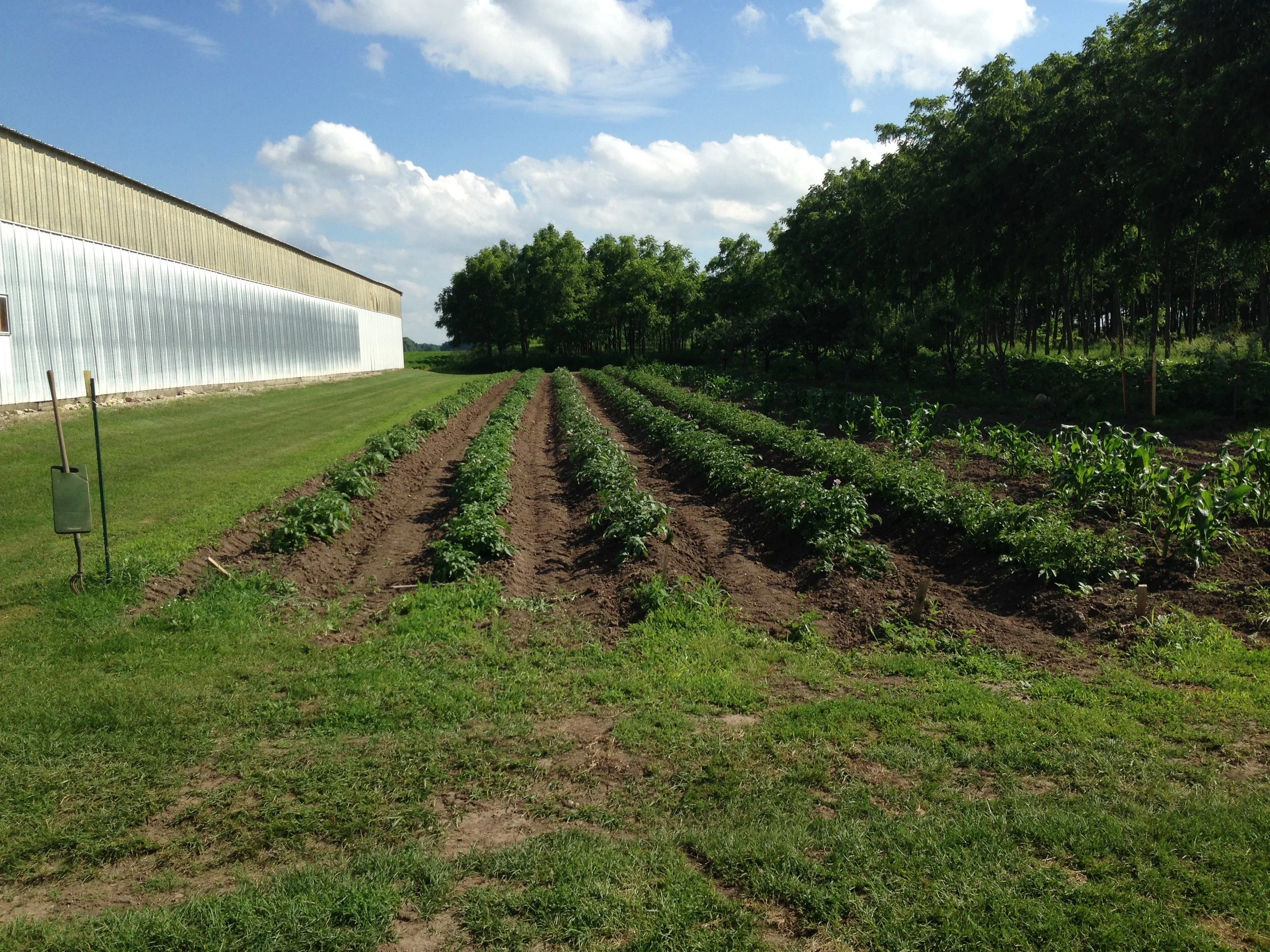About | Family Owned & Operated — Steeple View Farm