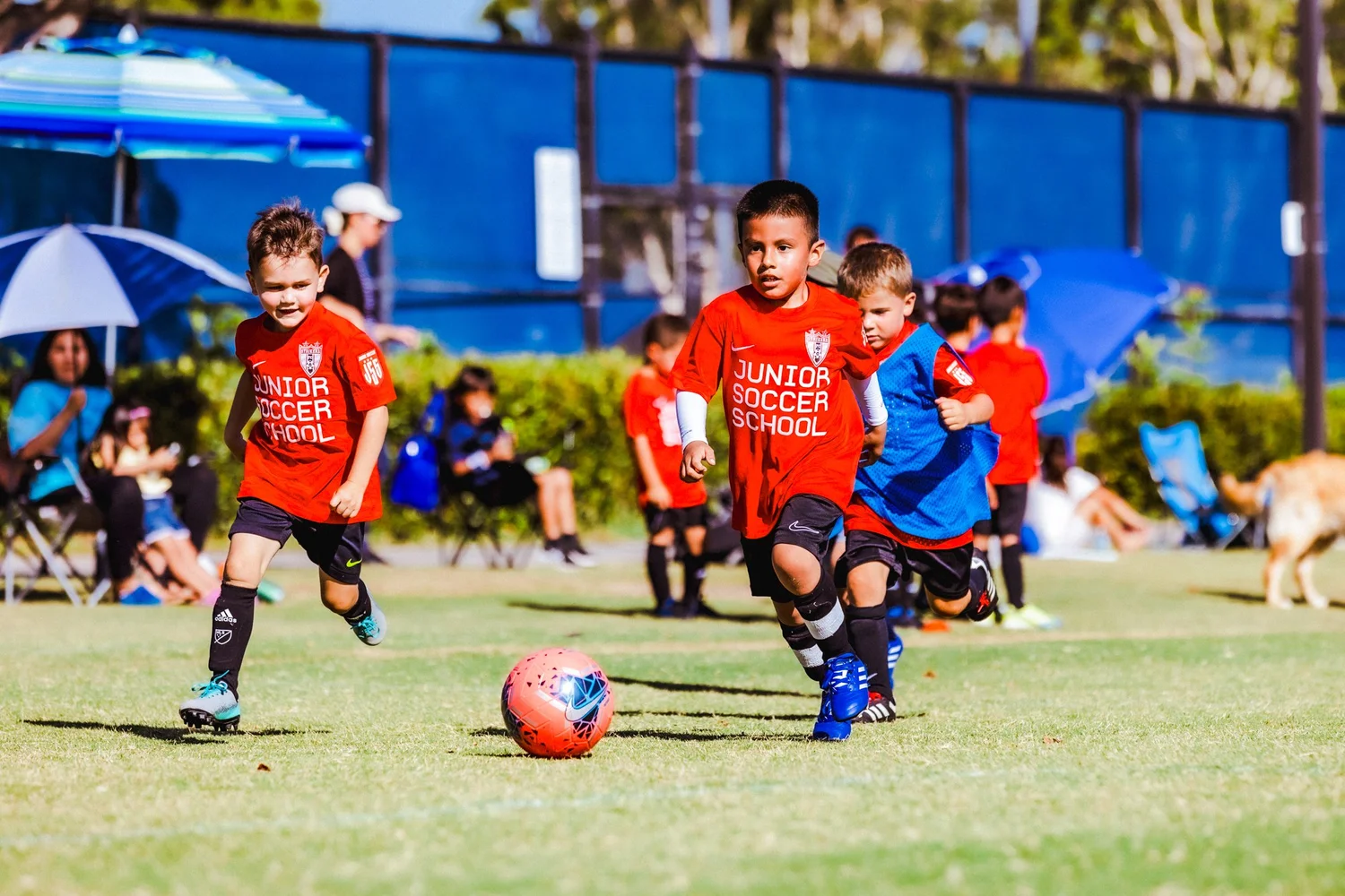 Classes — Strikers FC Junior Soccer School