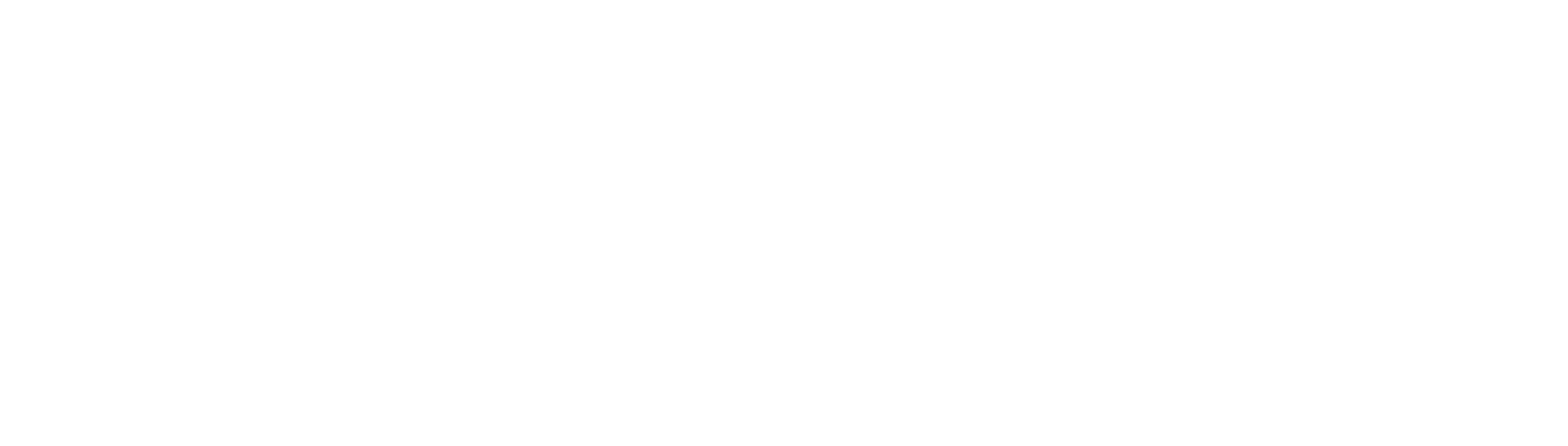 Local Organizations — LAGOP