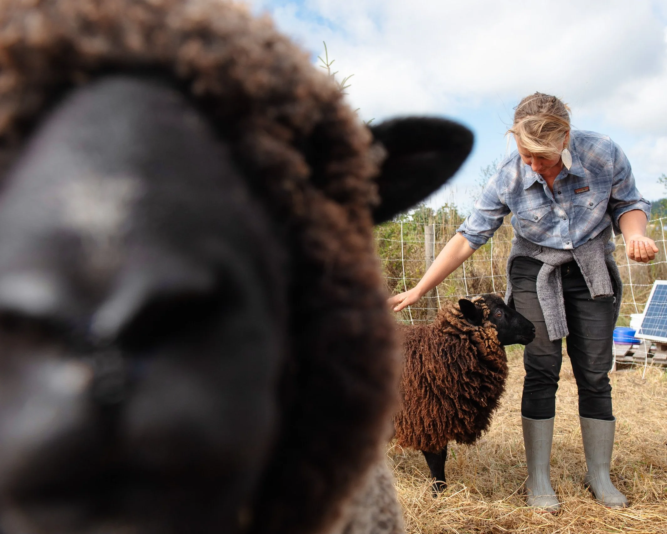 Commissions — Garrett Grove