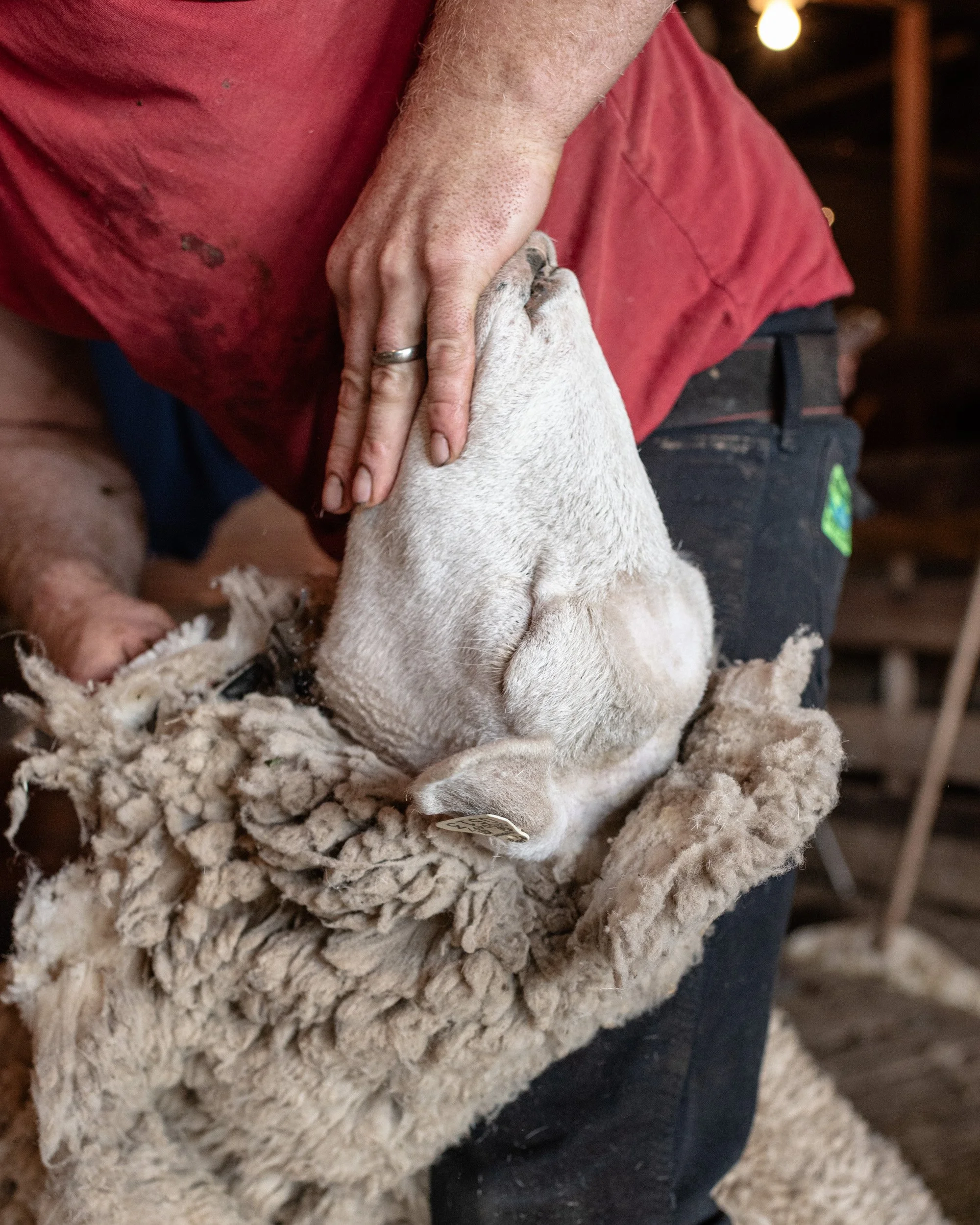 Commissions — Garrett Grove