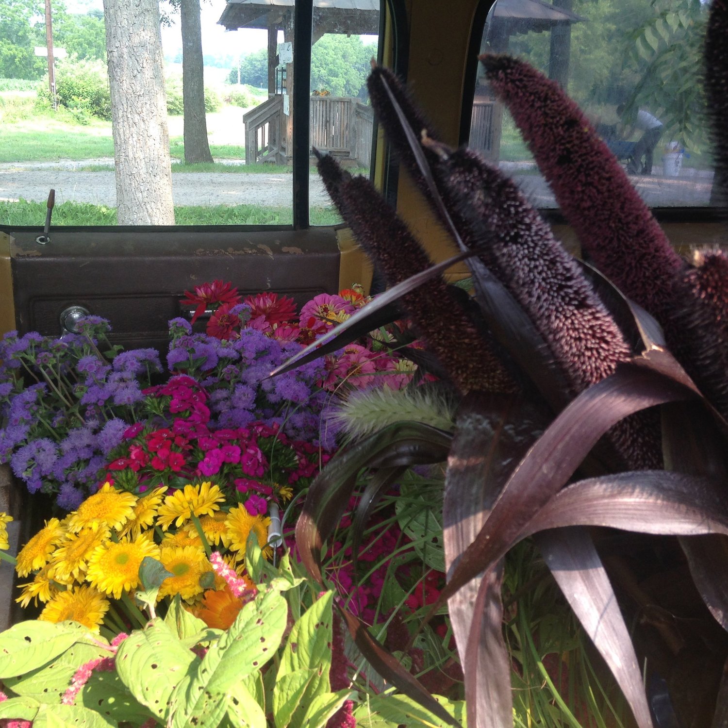 General 6 — flyingcloudfarm.net