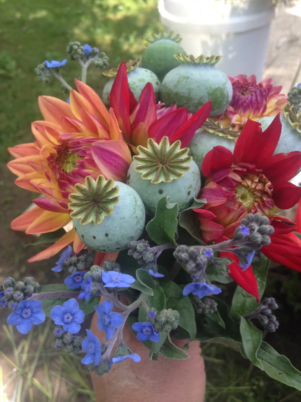 General 6 — flyingcloudfarm.net