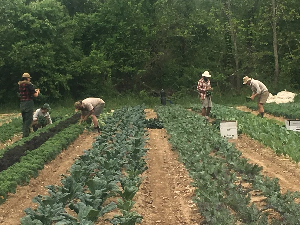 General 1 — flyingcloudfarm.net