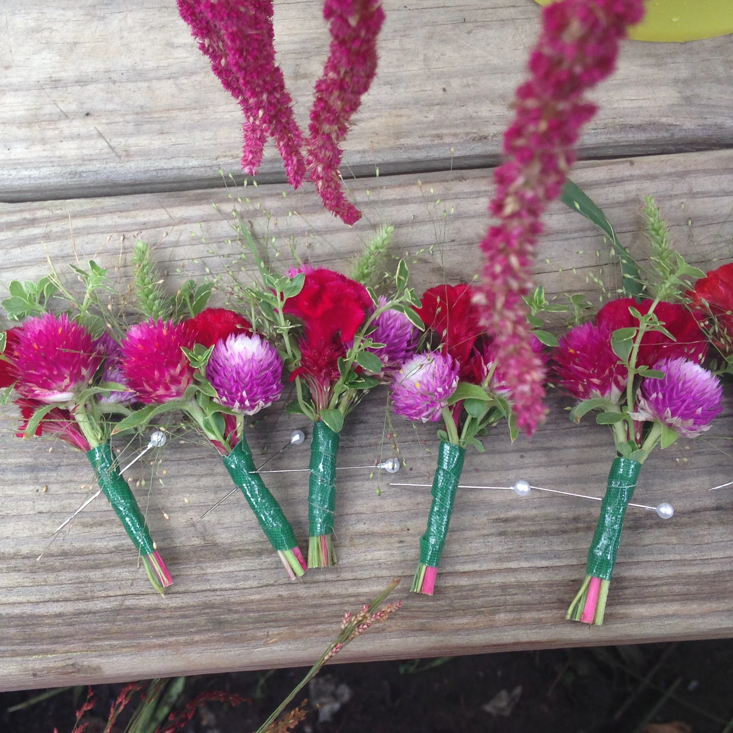 General 6 — flyingcloudfarm.net