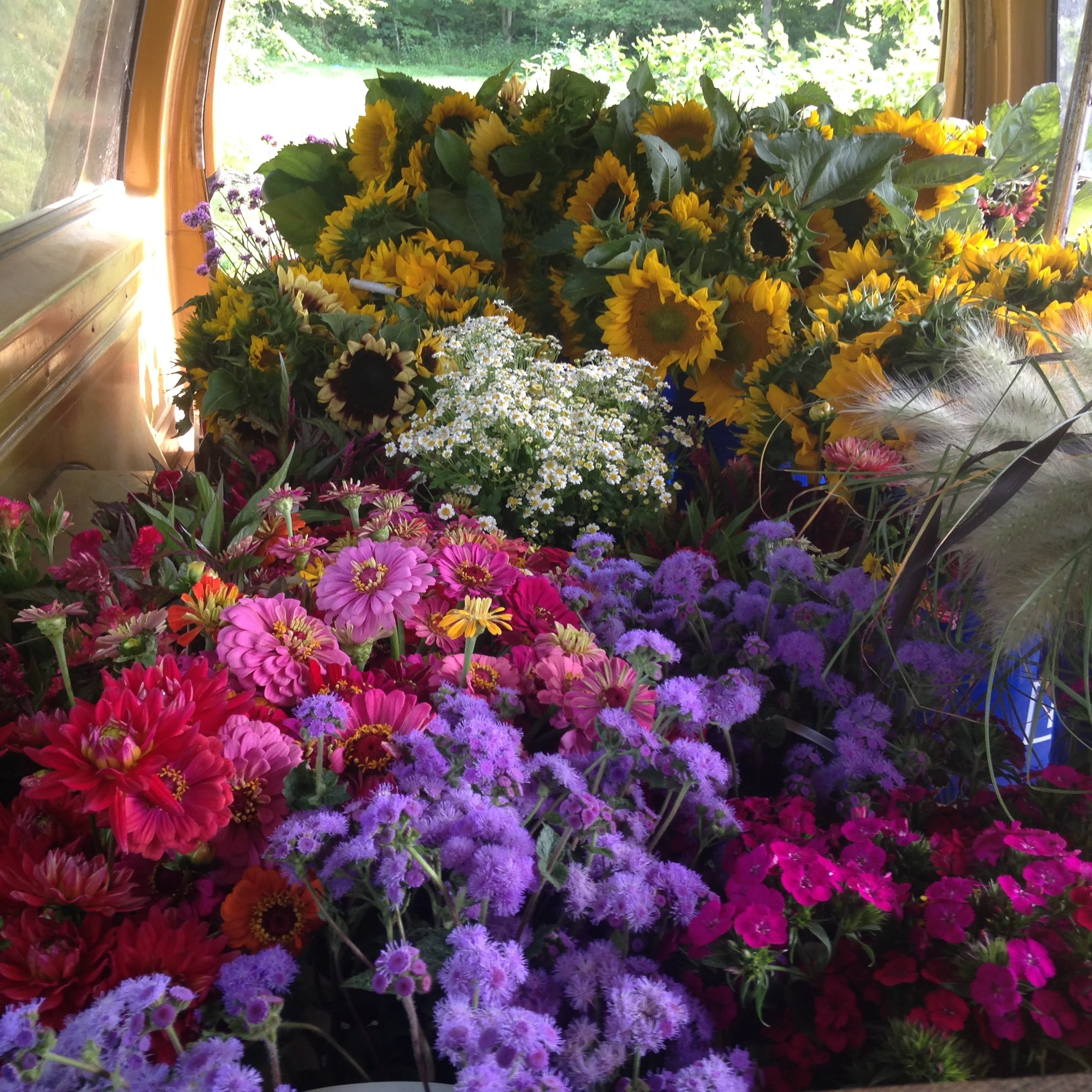 General 6 — flyingcloudfarm.net