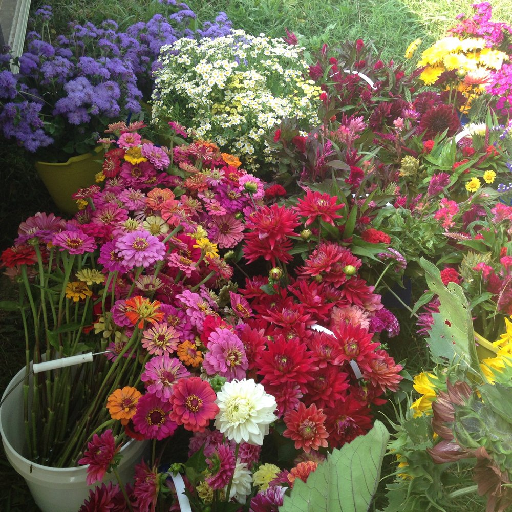 General 6 — flyingcloudfarm.net