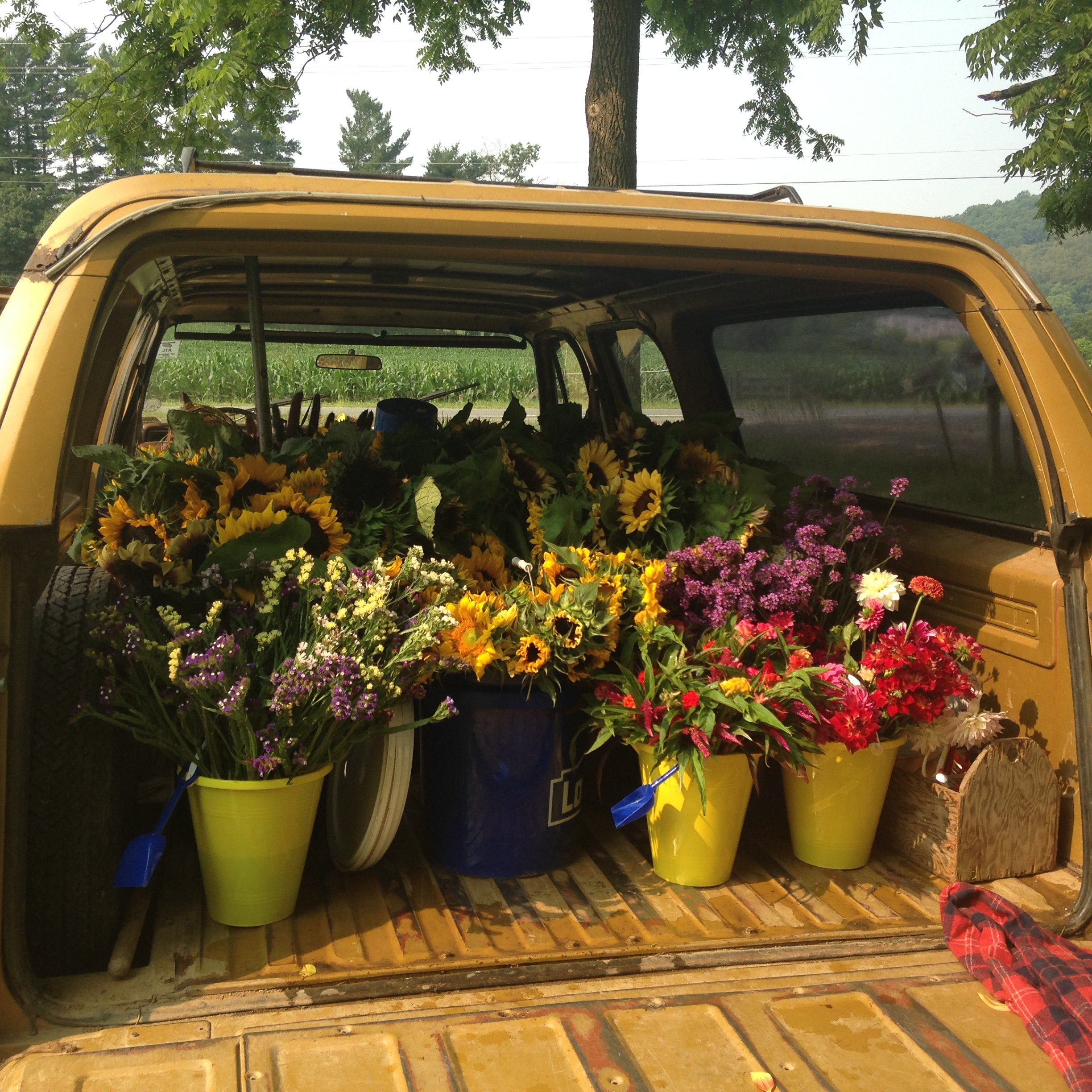 General 6 — flyingcloudfarm.net