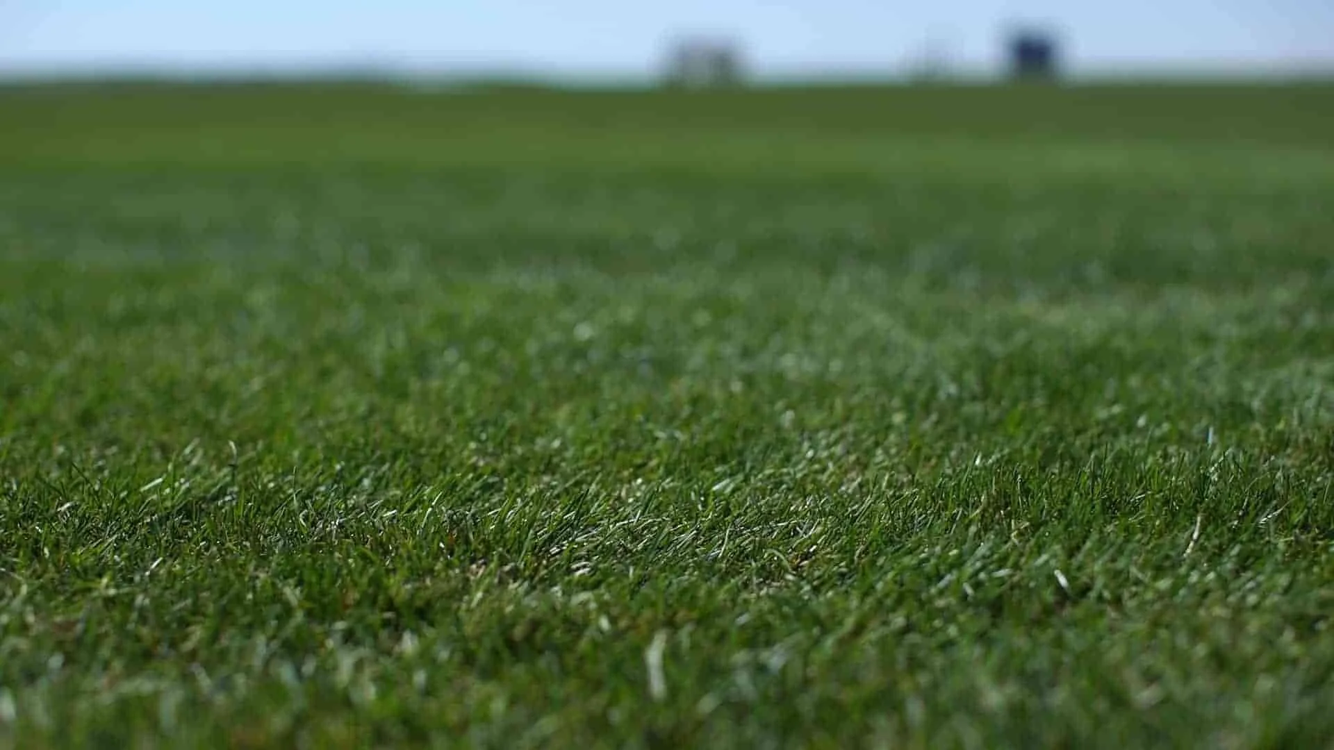 Hussey Sod Farm