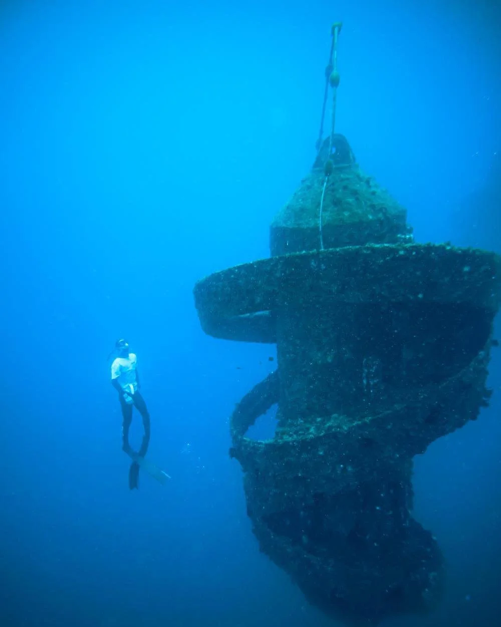 Freediving courses Golf Coast — Freediving Australia