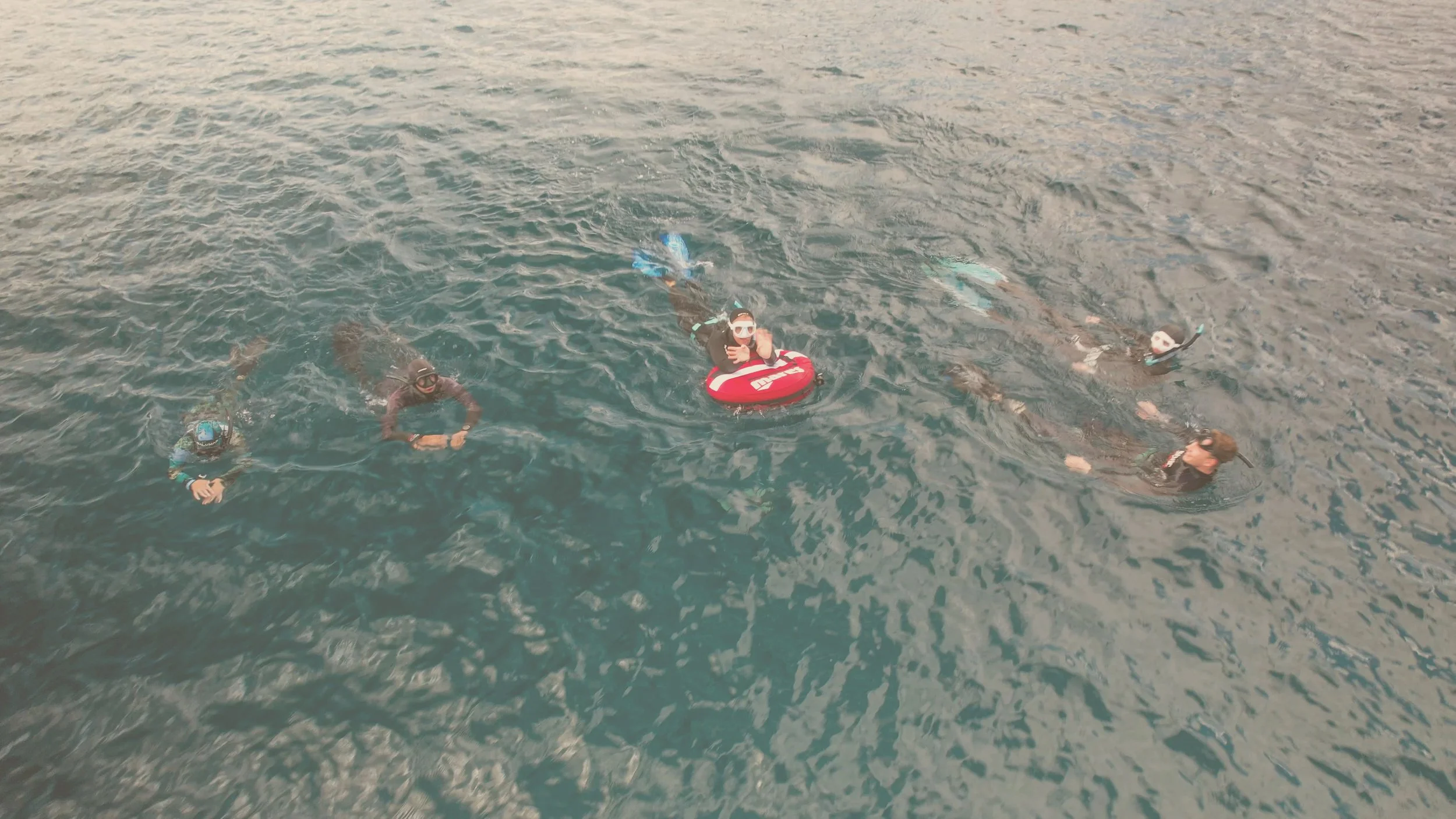 Wave 1 freediving course — Freediving Australia