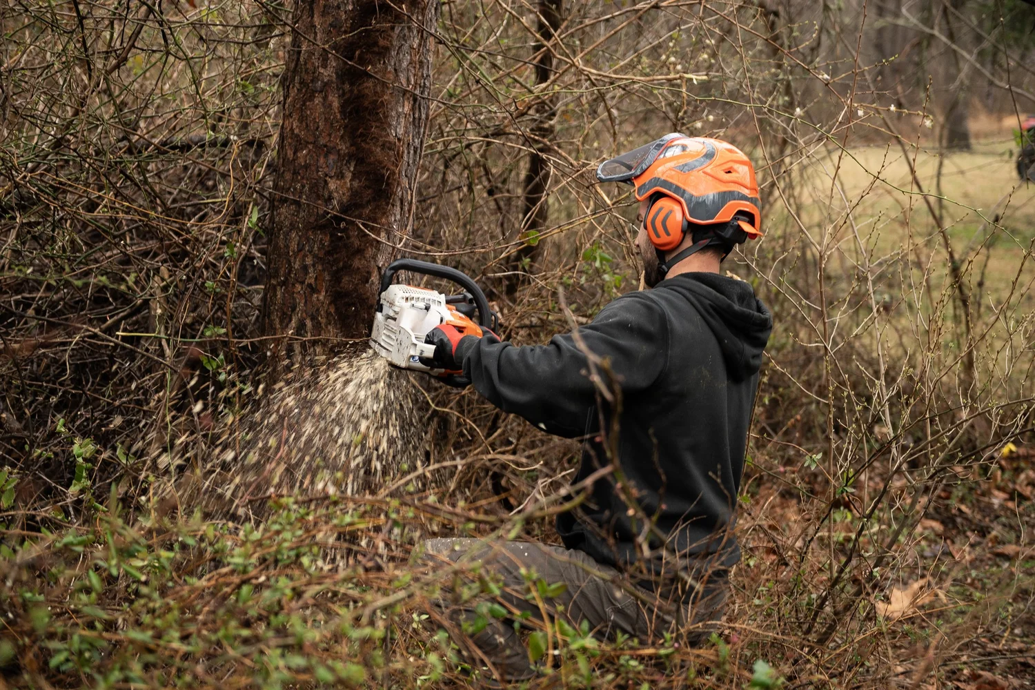 Tree Service | Roanoke, VA | Integrity Tree Service