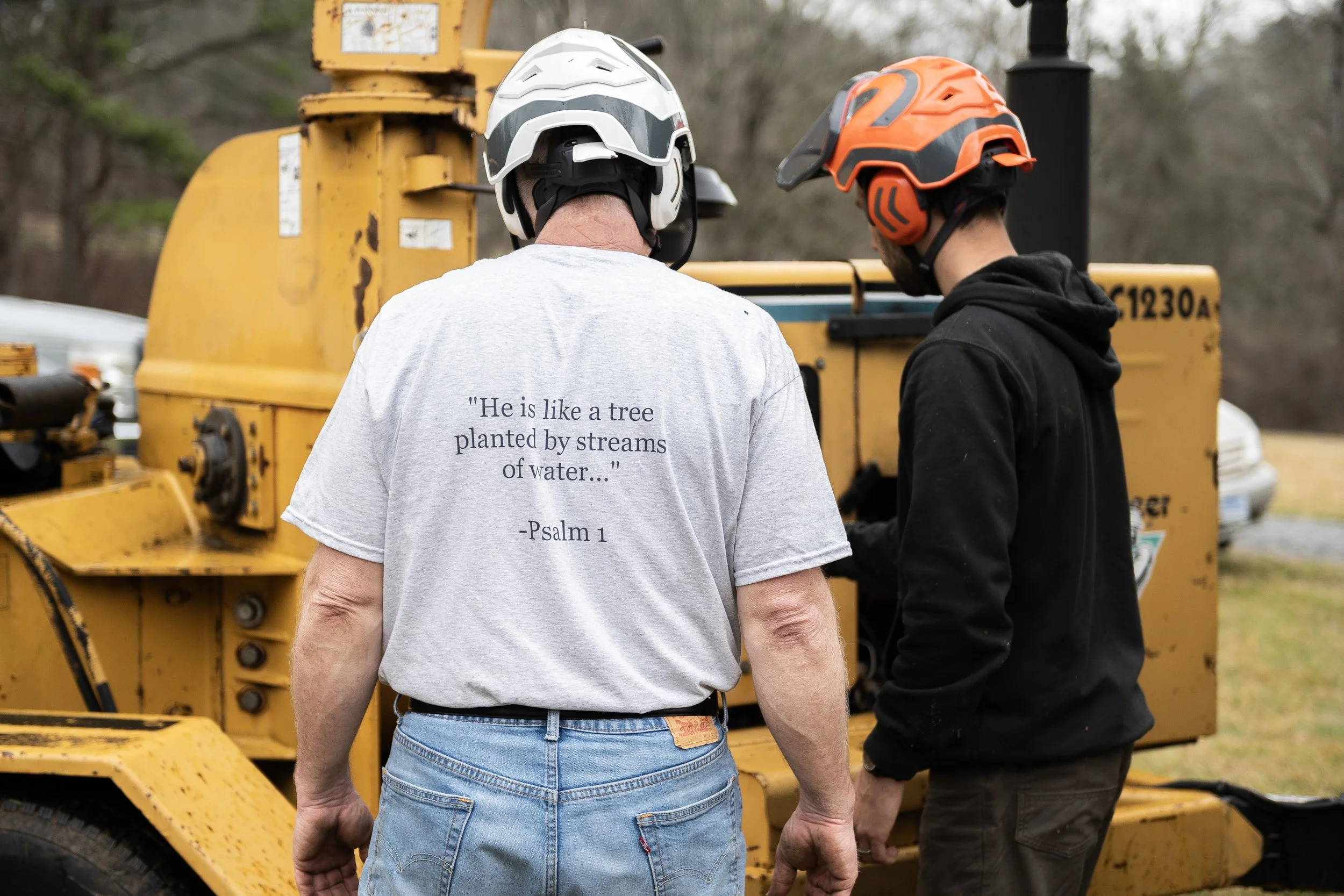 Tree Service | Roanoke, VA | Integrity Tree Service