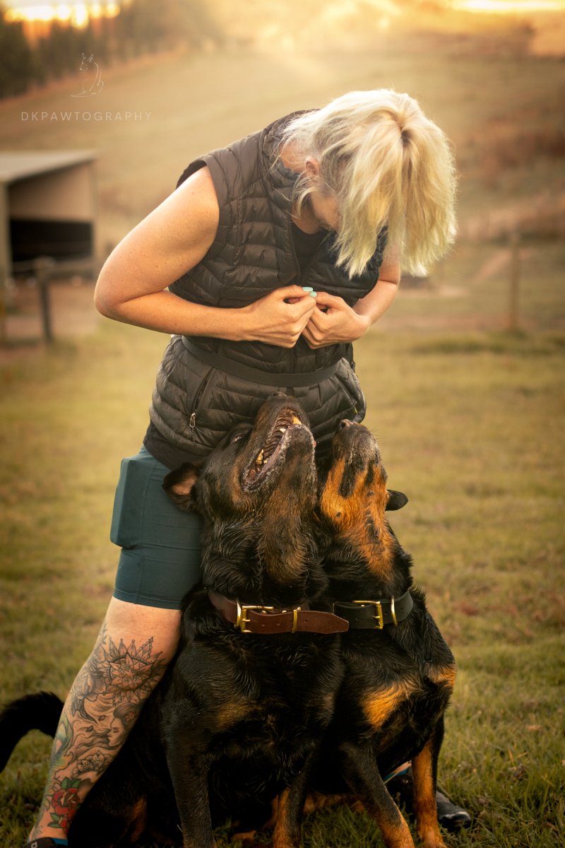 Pedal Paws Dog Walking & Training | Melbourne