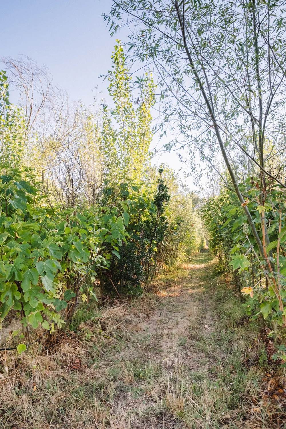 Gandum Village - Hotel Rural