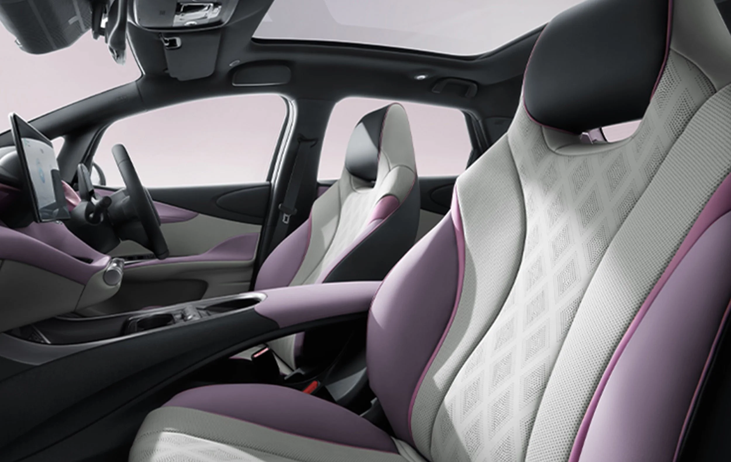 BYD Dolphin — Easy EV