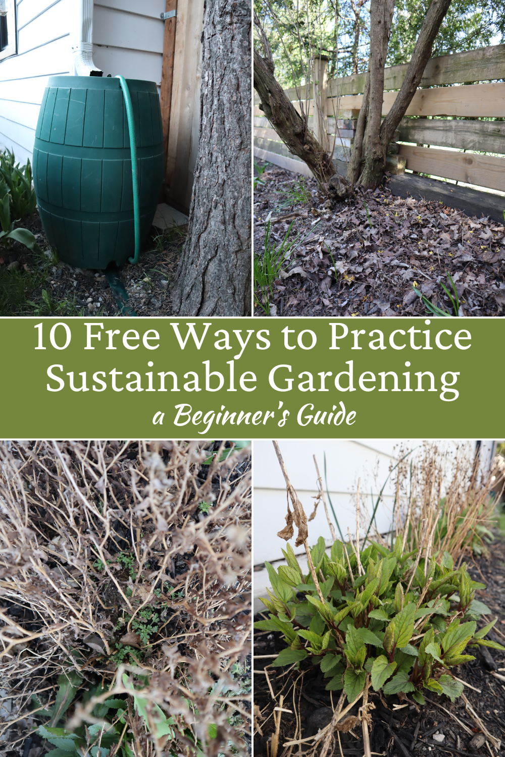 10 Free Ways to Practice Sustainable Gardening - a Beginner’s Guide ...