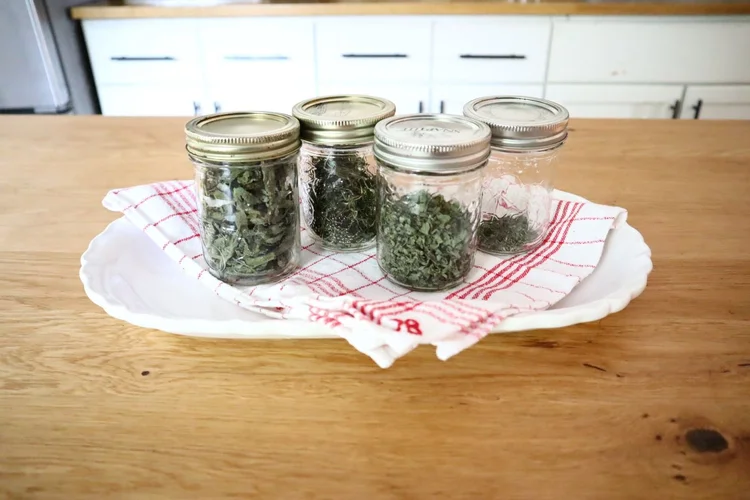 Collecting and Drying Herbs from the Garden — Made on Mill