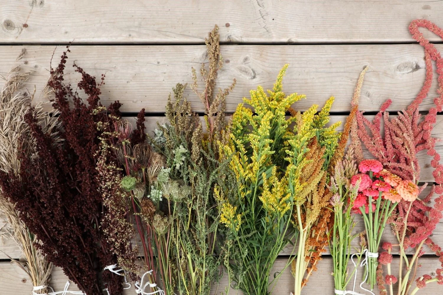 Dried Floral Wreath — Made on Mill