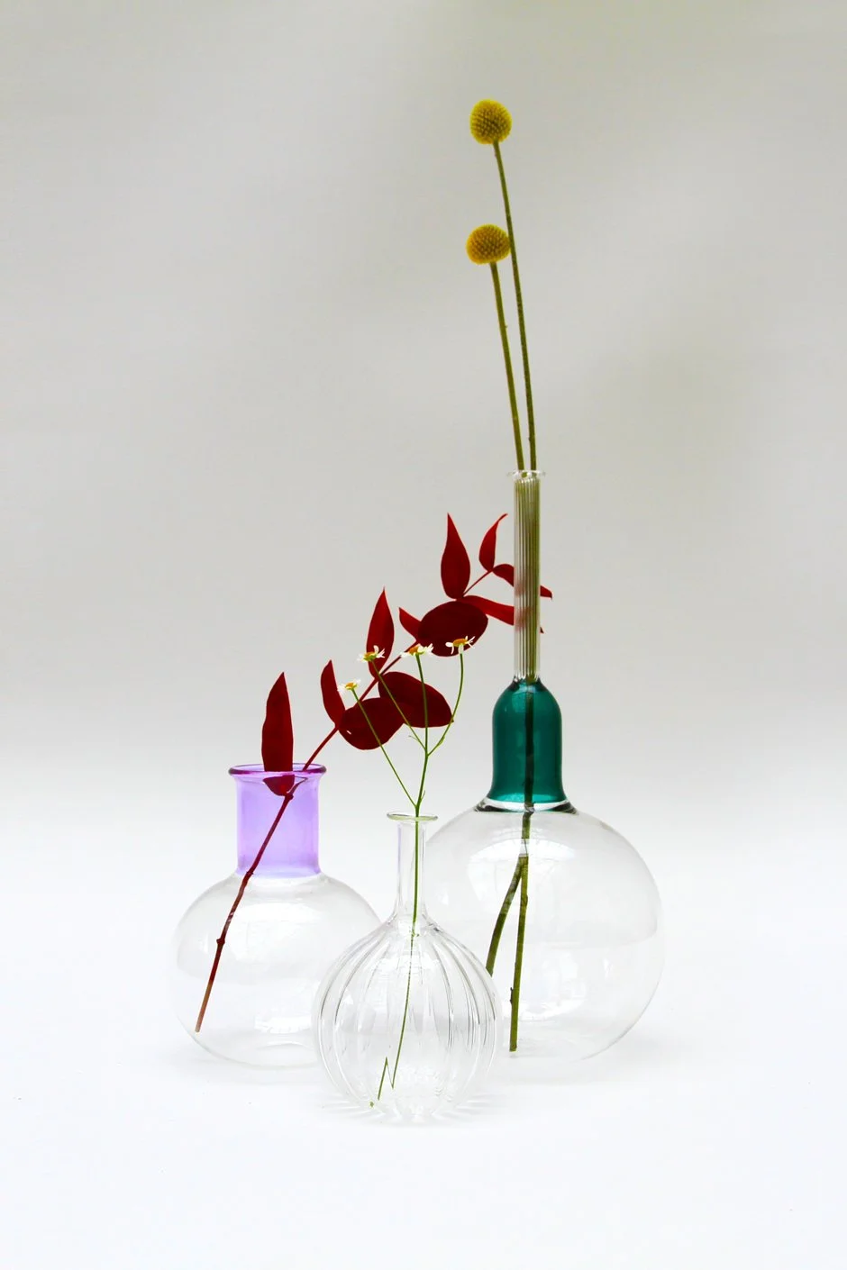 Vitro Vas — Sarah Colson