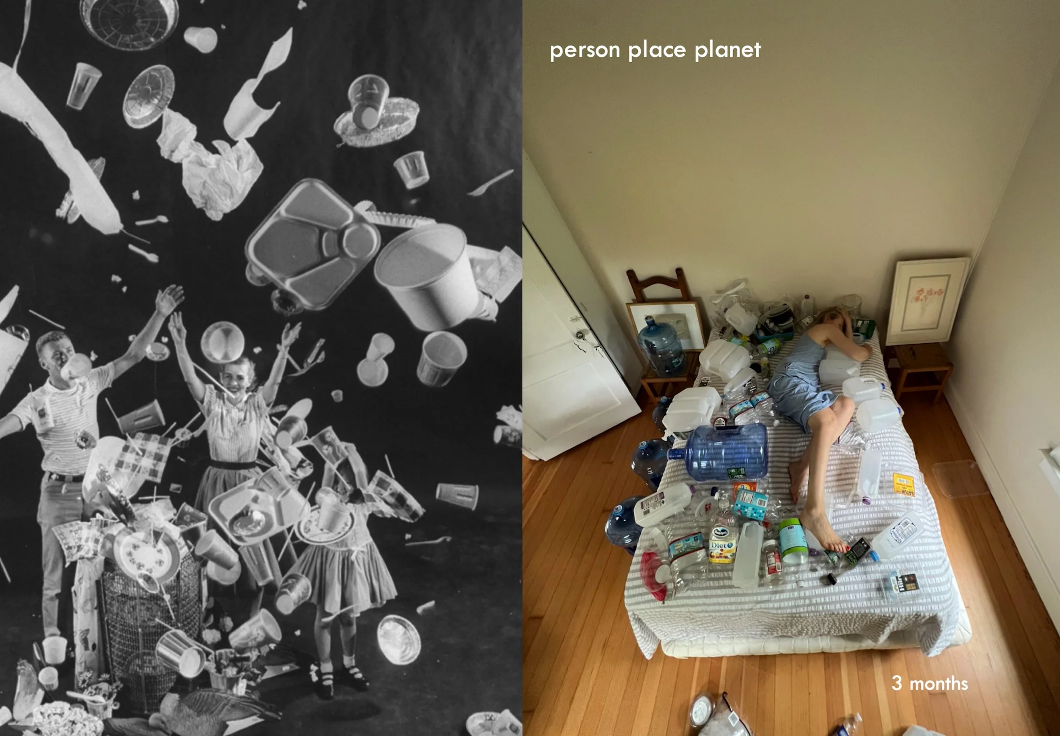 plastics — SUSAN SALINGER