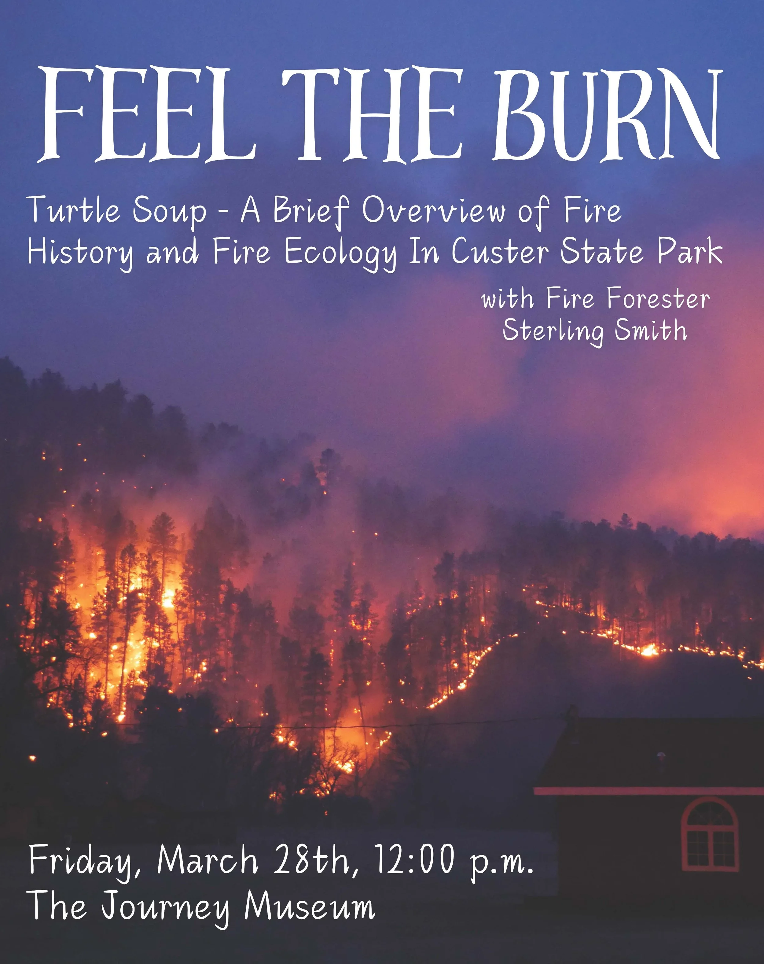 Turtle Soup | Feel the Burn: Fire-Ecology and the History of Fire in ...