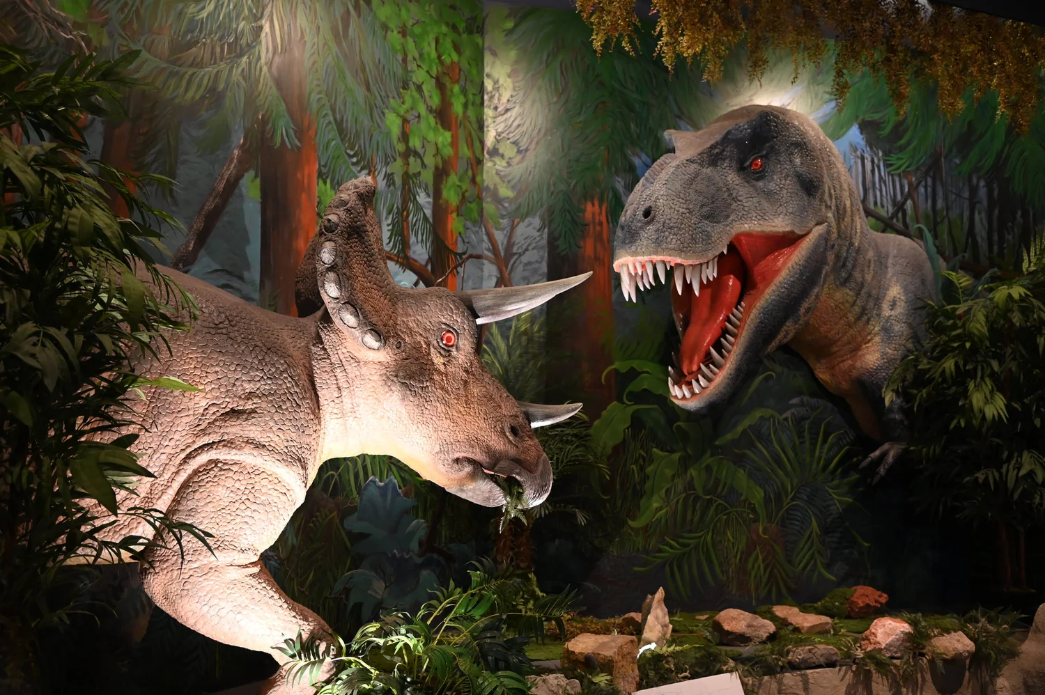 Visit the Journey — The Journey Museum